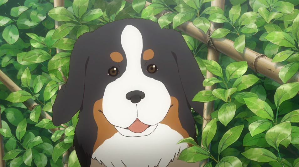 Tsurune Episode 10 - Giving it Another Shot - I drink and watch anime