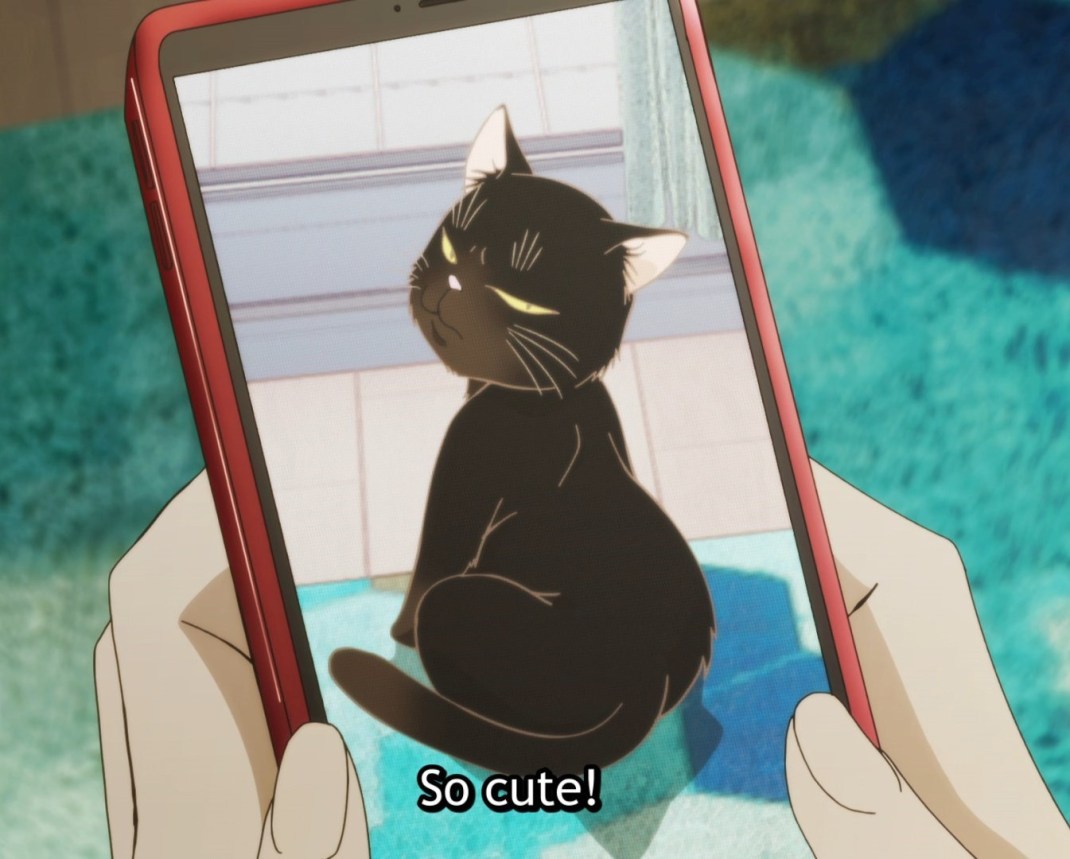 The Masterful Cat Is Depressed Again Today - Episode 2 - I drink and ...