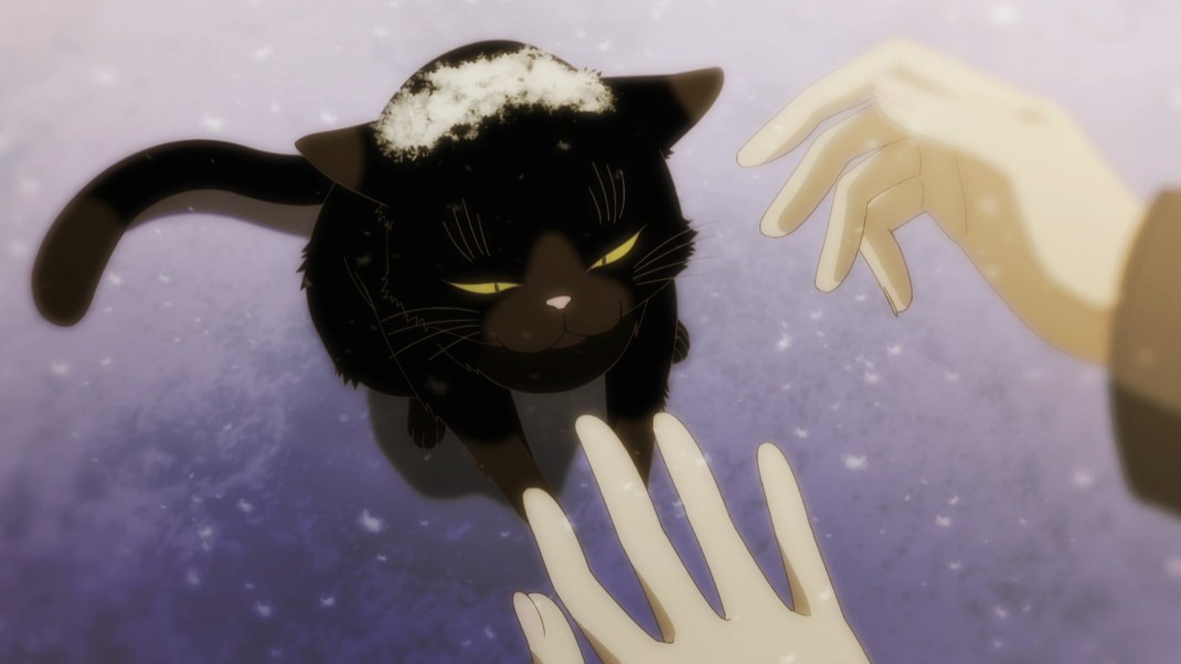 The Masterful Cat Is Depressed Again Today - Episode 2 - I drink and ...