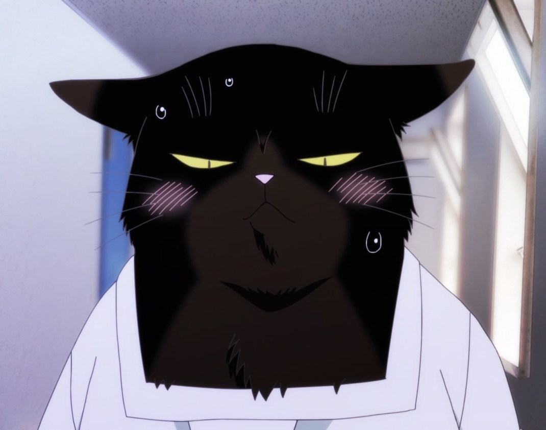 The Masterful Cat Is Depressed Again Today - Episode 5 - I drink and ...