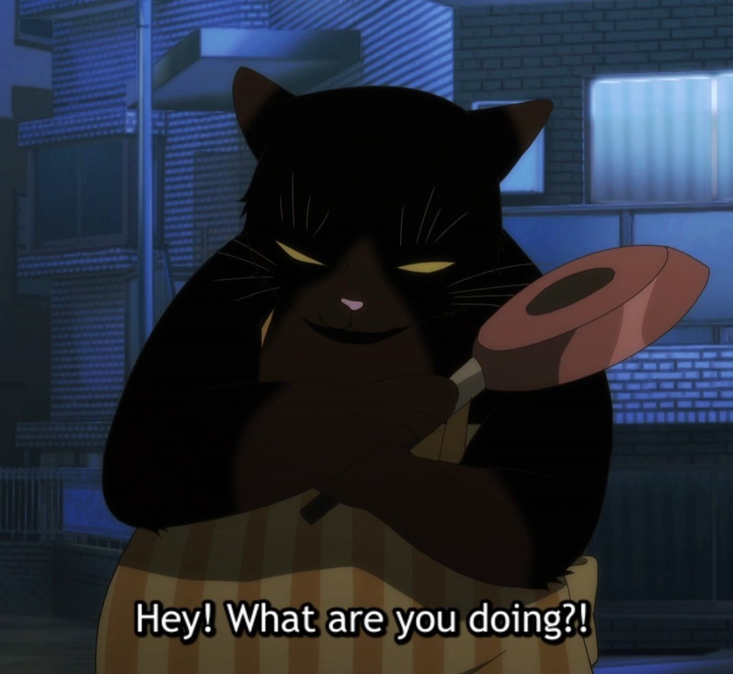 The Masterful Cat Is Depressed Again Today - Episodes 8 & 9 - I drink ...