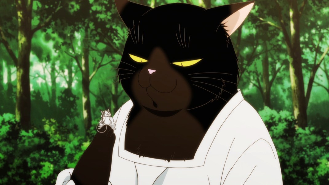 The Masterful Cat Is Depressed Again Today - Episode 13 - I drink and ...